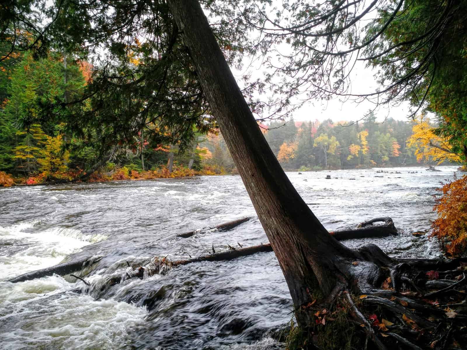 A Guide to the Best National and State Parks of Michigan