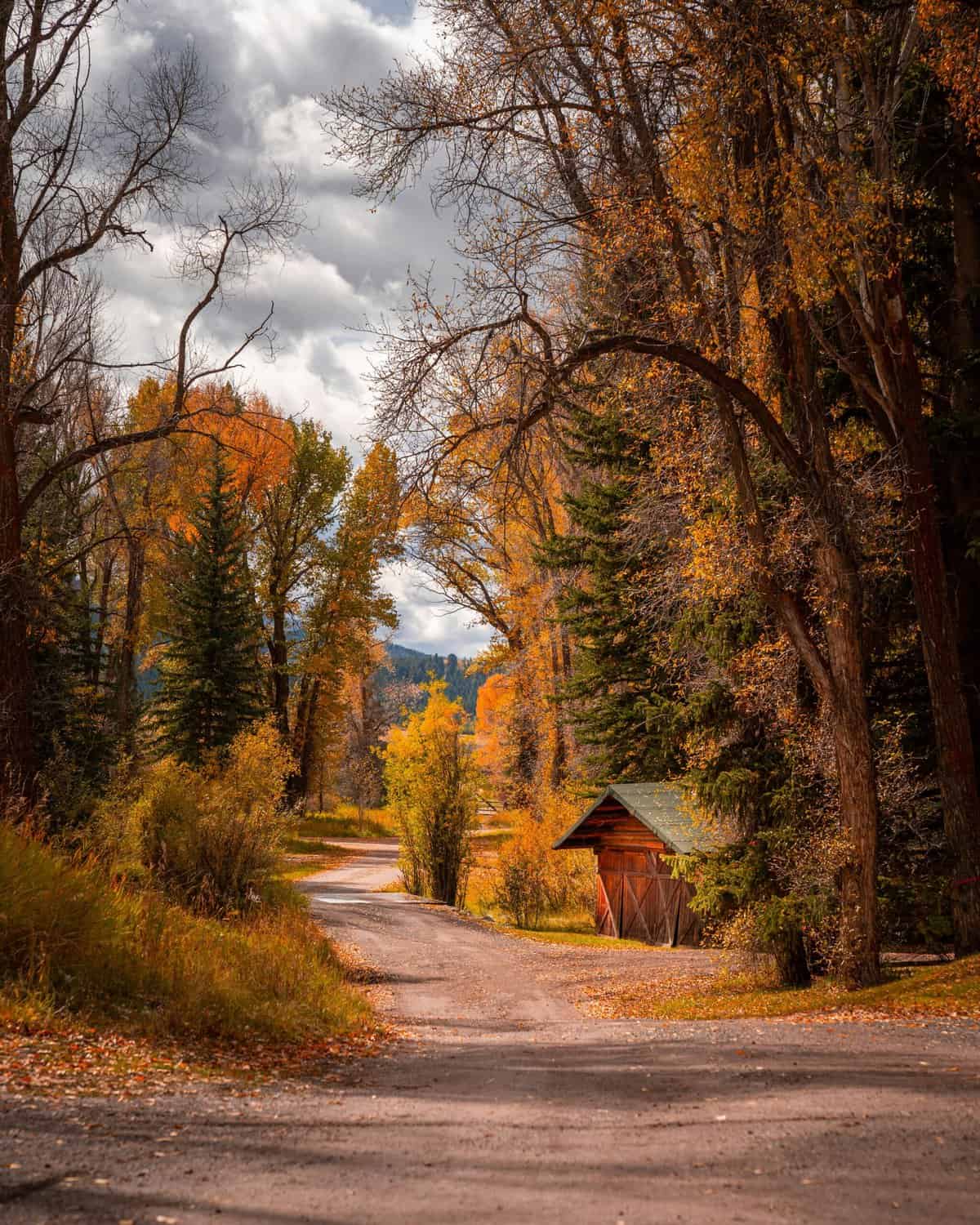 17 Best Fall Color Destinations in Michigan for Scenic Hikes and Drives
