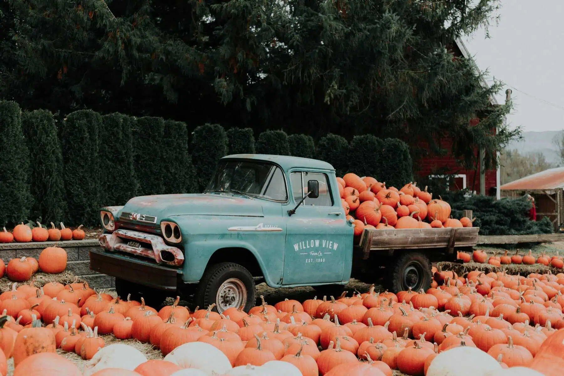 Top 10 Best Fall Festivals in Michigan